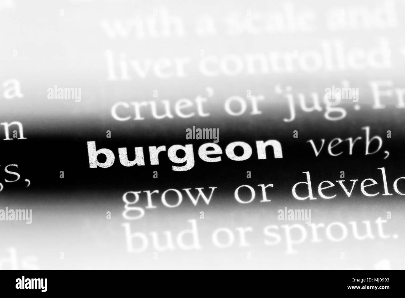 burgeon word in a dictionary. burgeon concept Stock Photo - Alamy