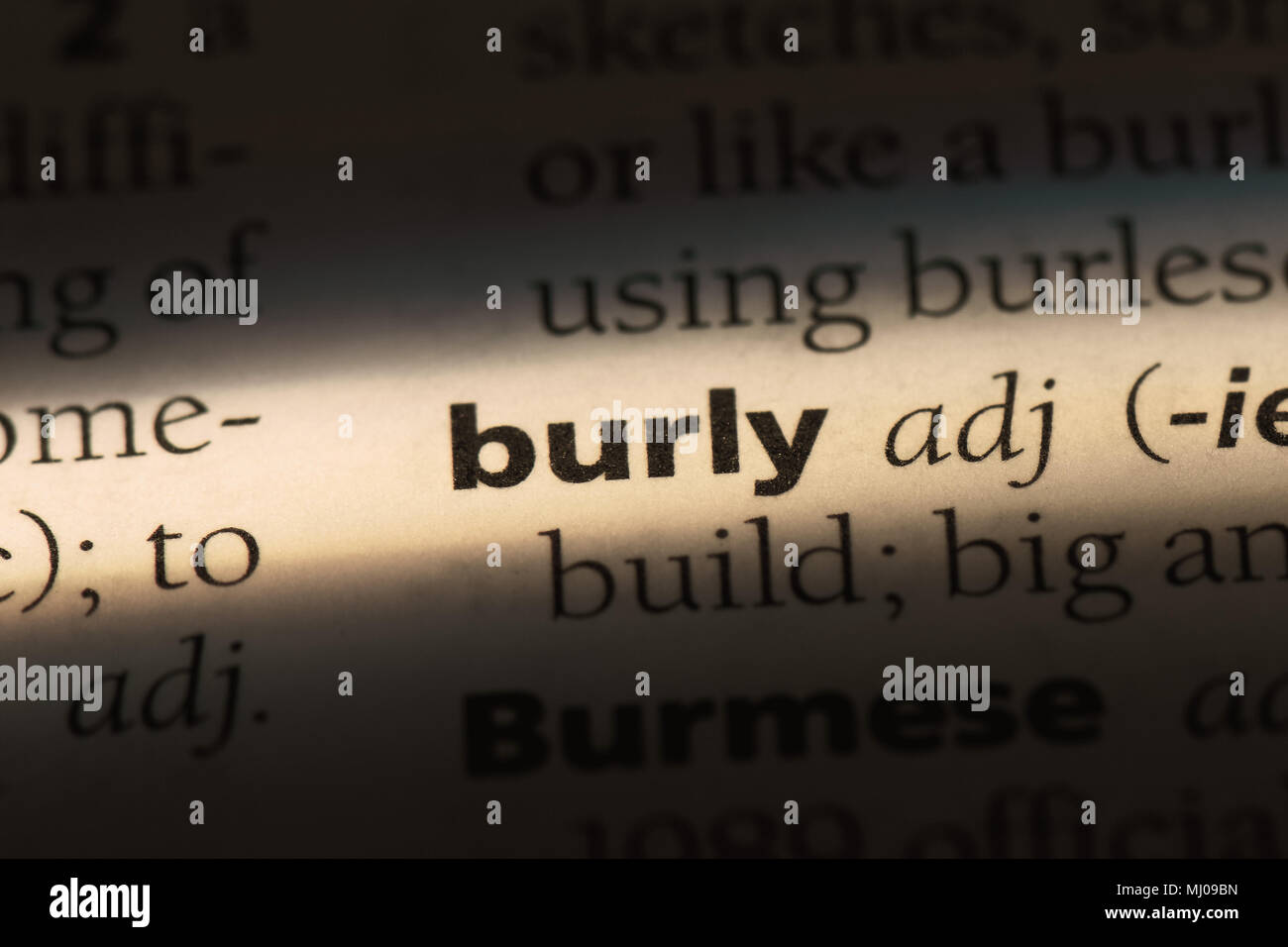 burly word in a dictionary. burly concept Stock Photo - Alamy