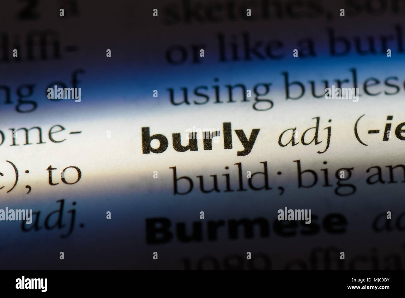 burly word in a dictionary. burly concept Stock Photo - Alamy