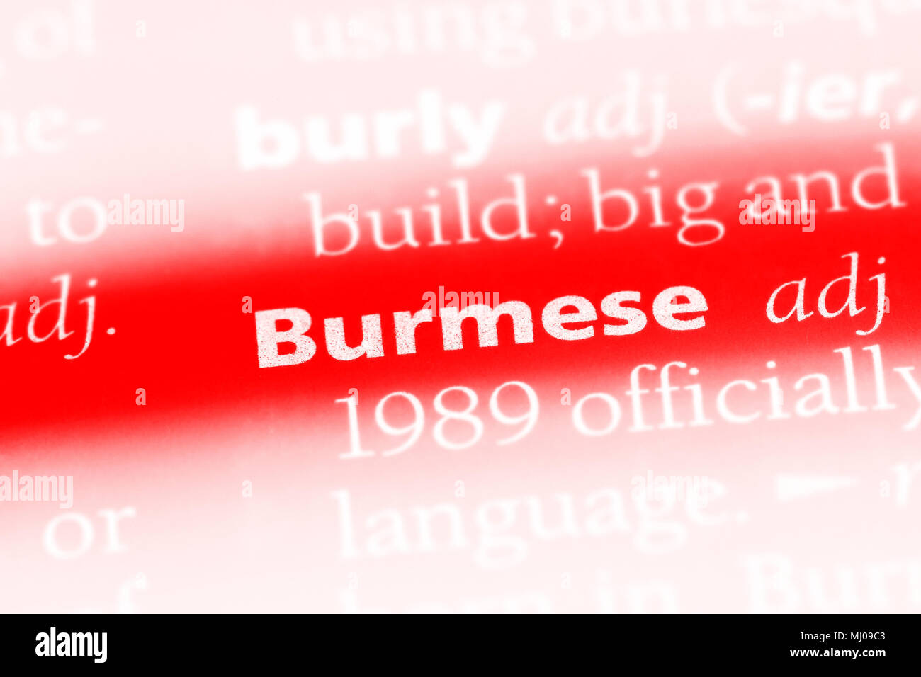 burmese word in a dictionary. burmese concept Stock Photo - Alamy