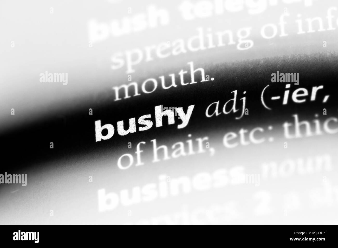 bushy word in a dictionary. bushy concept Stock Photo - Alamy