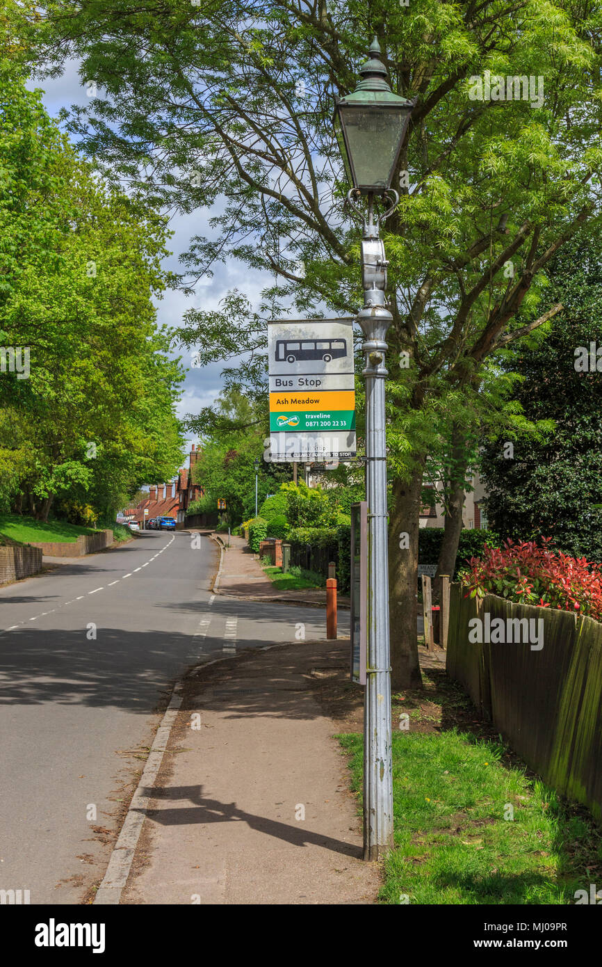 pretty and desirable village of much hadham high street hertfordshire ...