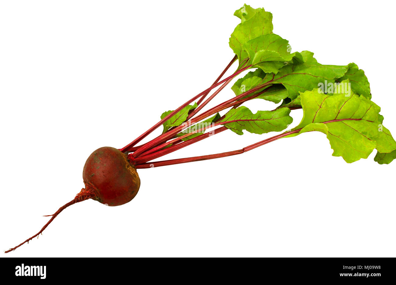 Beets with tops isolated on white background Stock Photo - Alamy