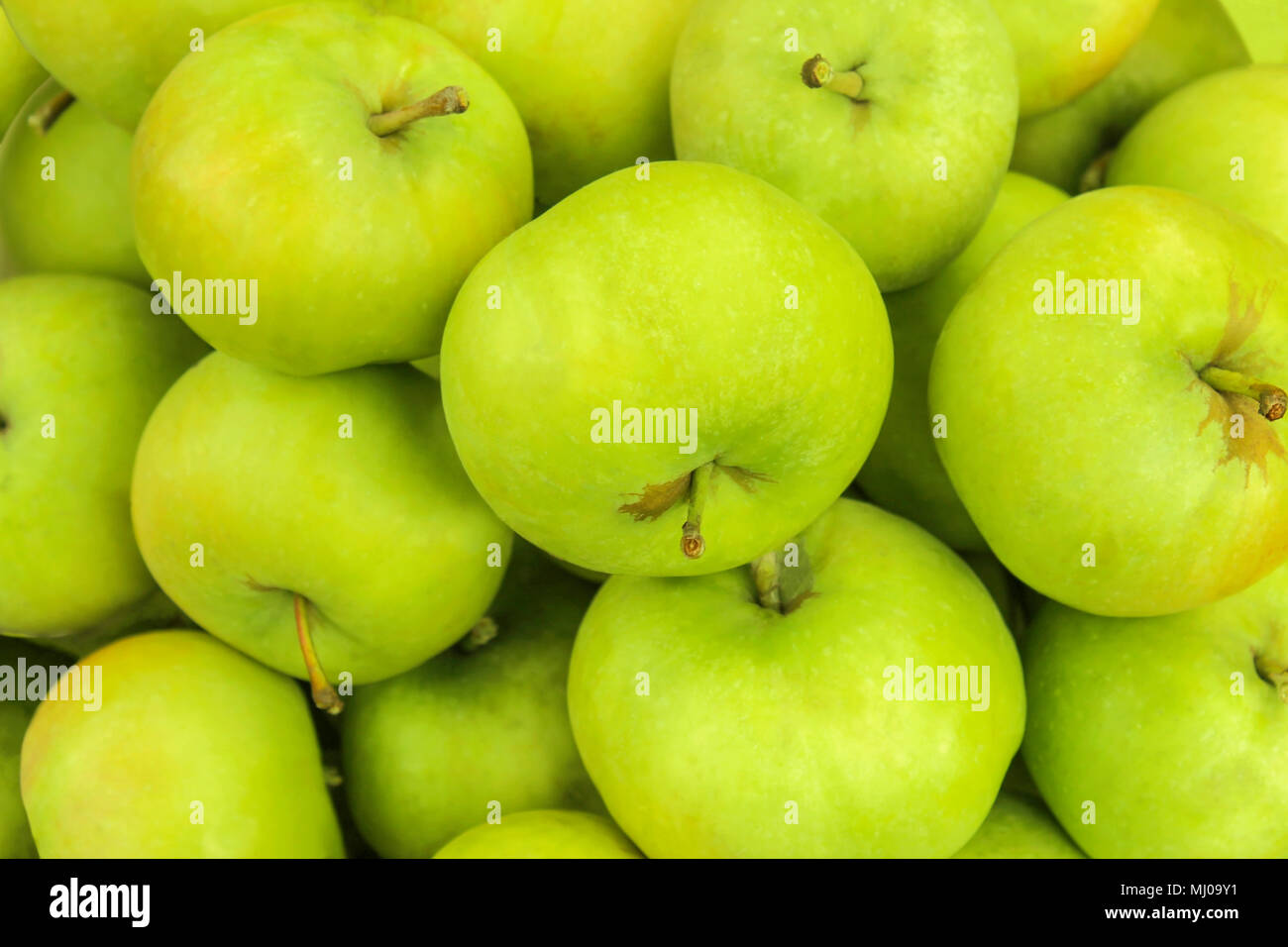 The big green apple close up as background Stock Photo - Alamy