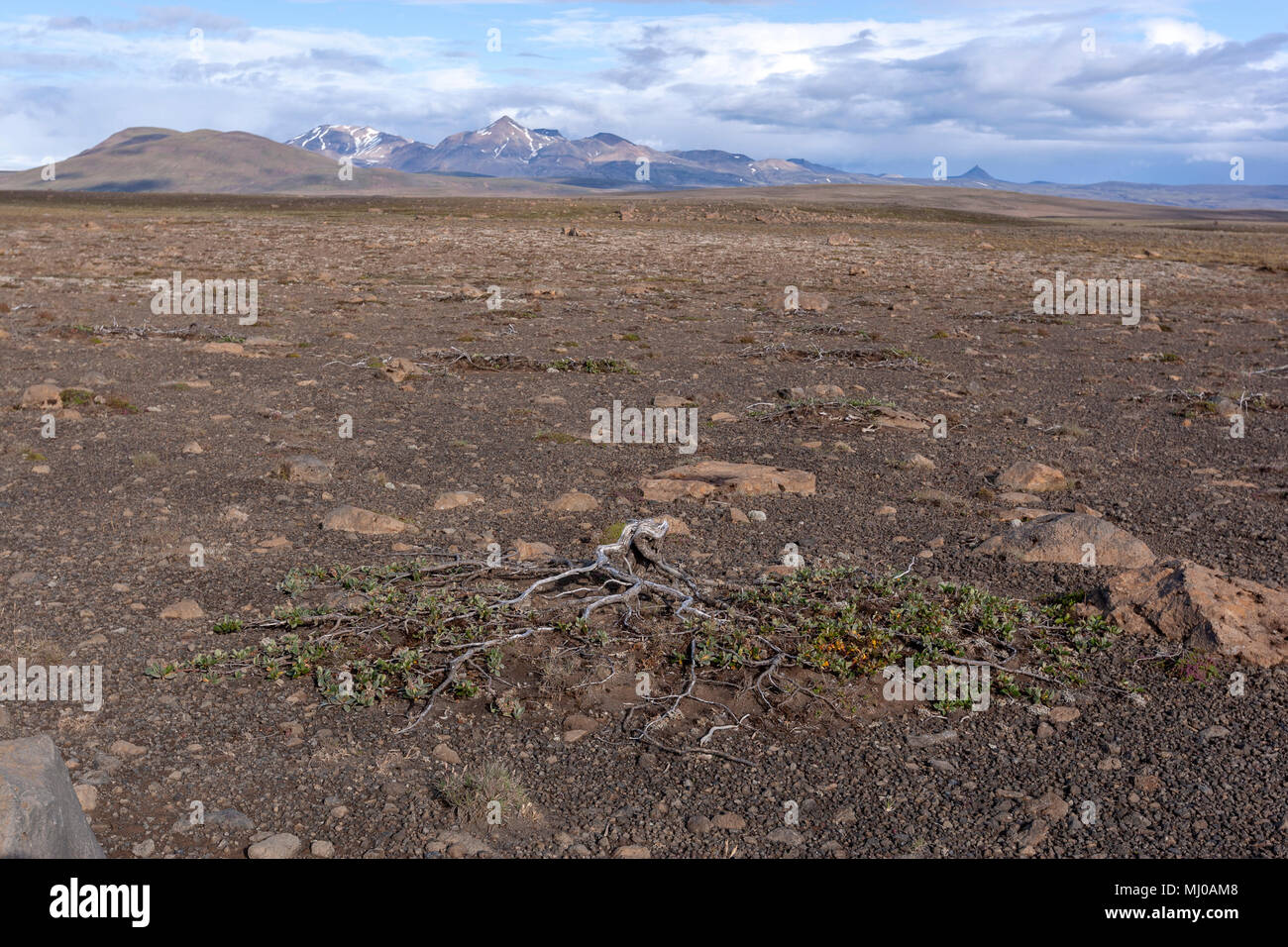 F35 Road, Iceland Stock Photo - Alamy