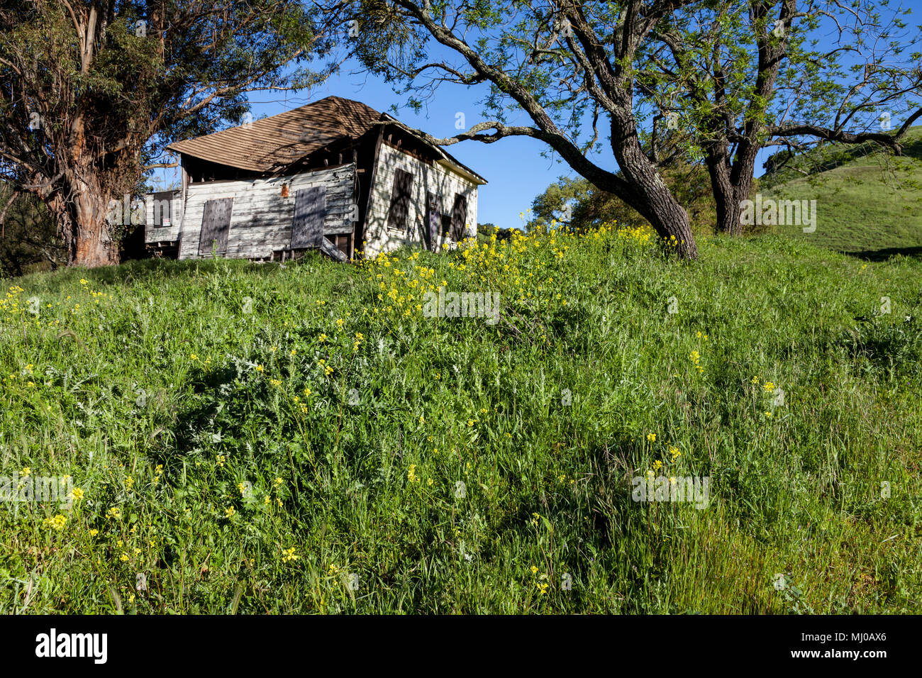An abandoned ranch house within the boundaries of Morgan Territory ...