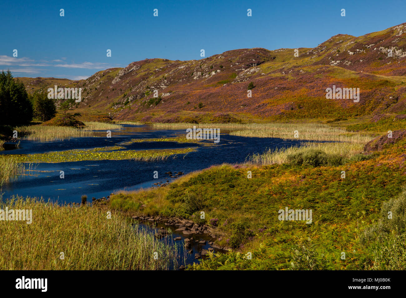 Dumbeg hi-res stock photography and images - Alamy