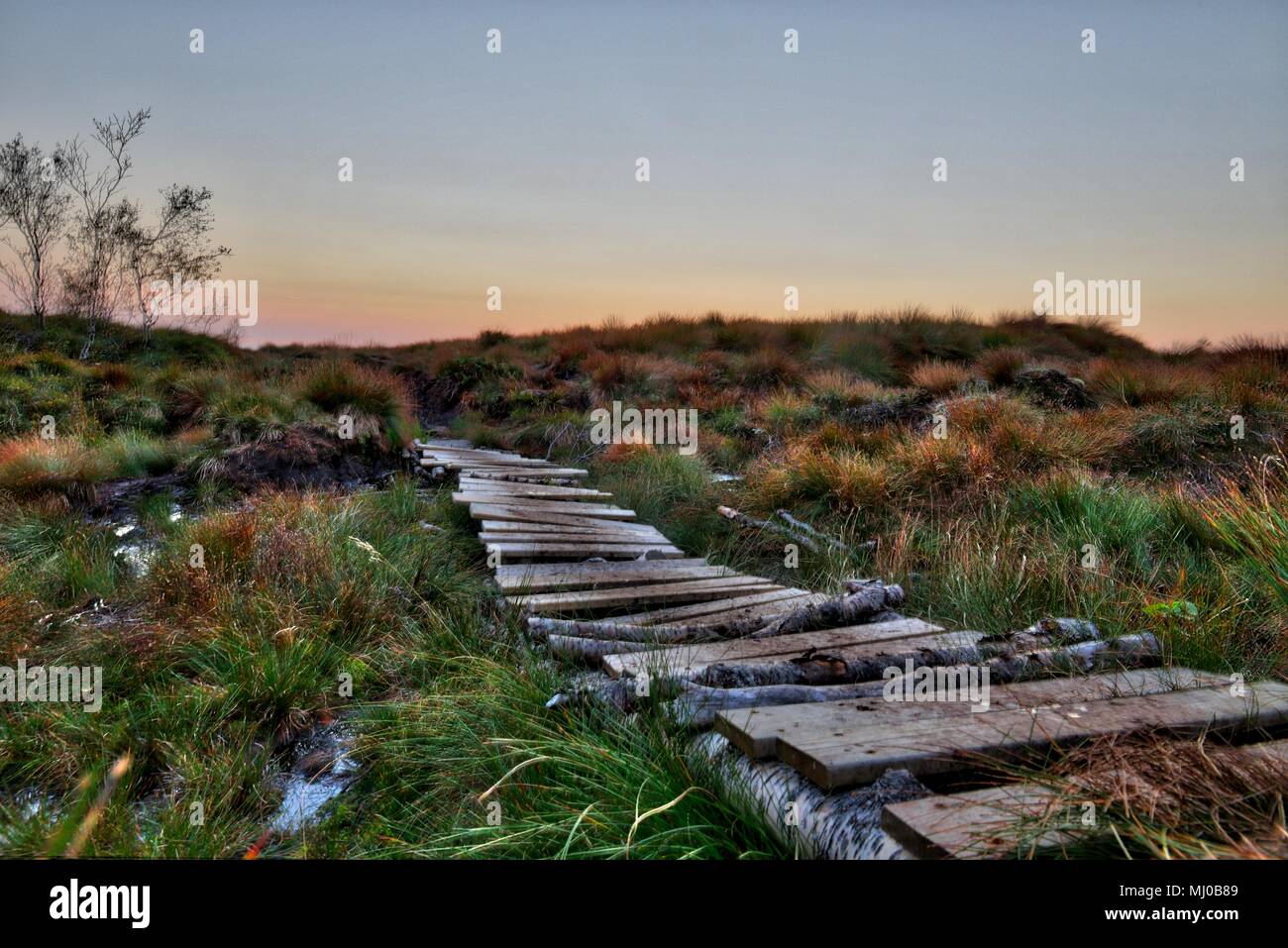 Wooden foot bridge - Trail in swap landscape - Bergen, Norway Stock ...