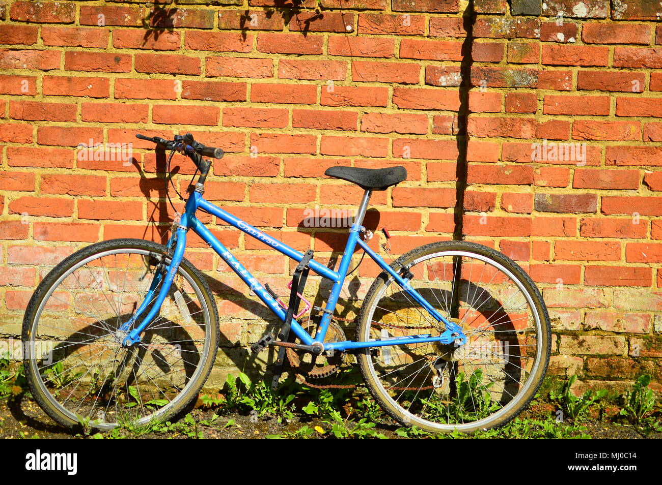 Old blue bike next to a brick wall Stock Photo - Alamy