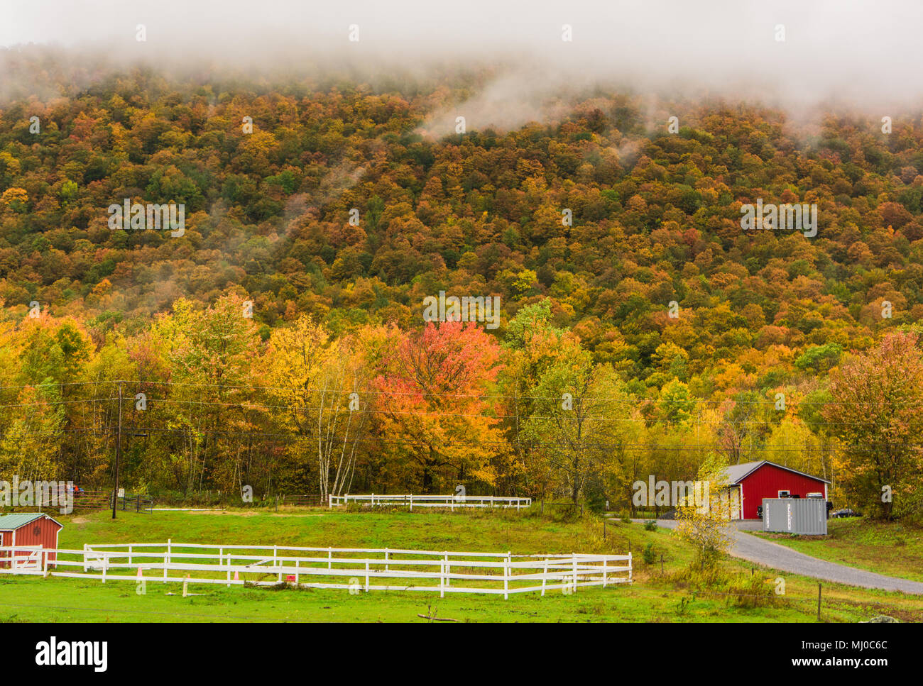Lovely fall hi-res stock photography and images - Alamy