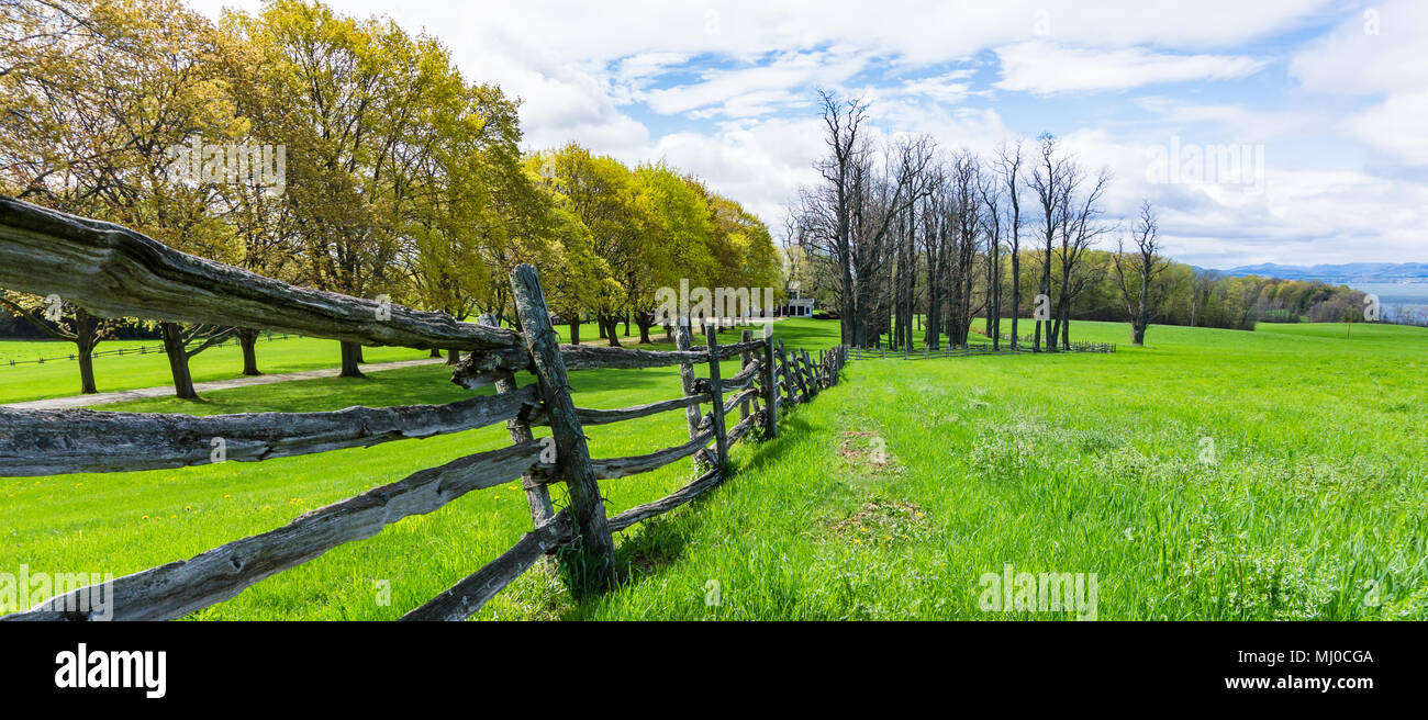 old split rail fence gray with age and covered with lichen creating ...