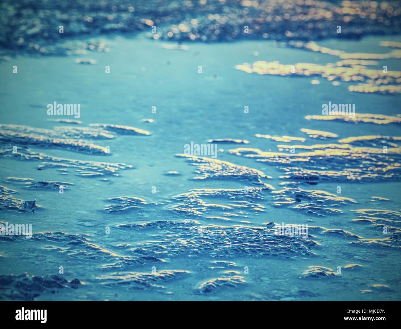 Shiny cold ice pieces on clear ice floe. Structure of natural ice in ...