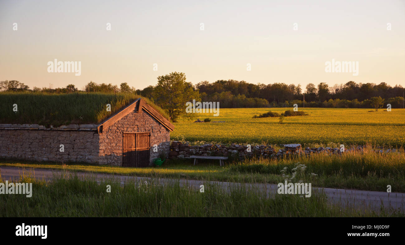 Bridge into light Stock Photo - Alamy