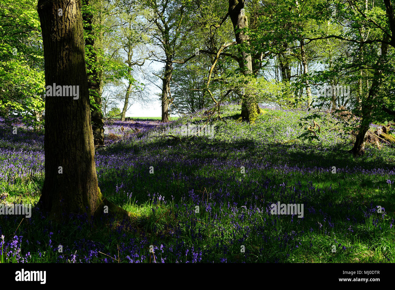 Tumulus hi-res stock photography and images - Alamy