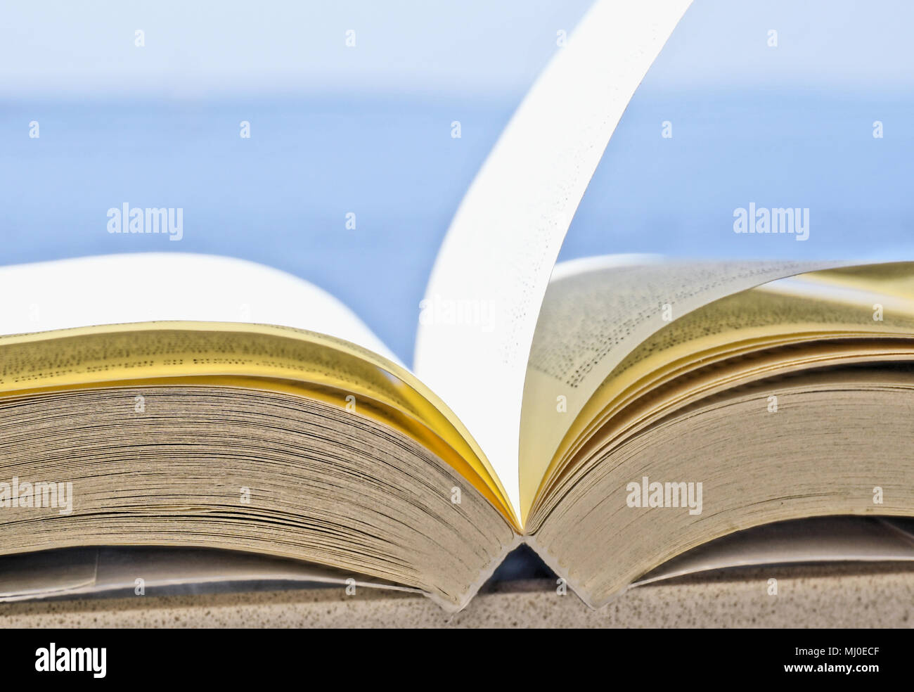 Open book pages turning by the wind in the blue background with free ...