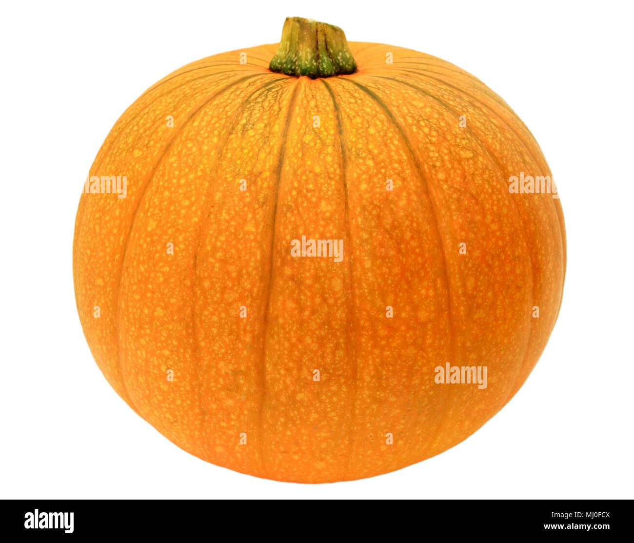 Round ripe pumpkin isolated on white background Stock Photo - Alamy