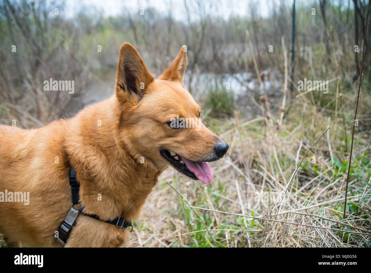 Happy exploring explore hi-res stock photography and images - Alamy