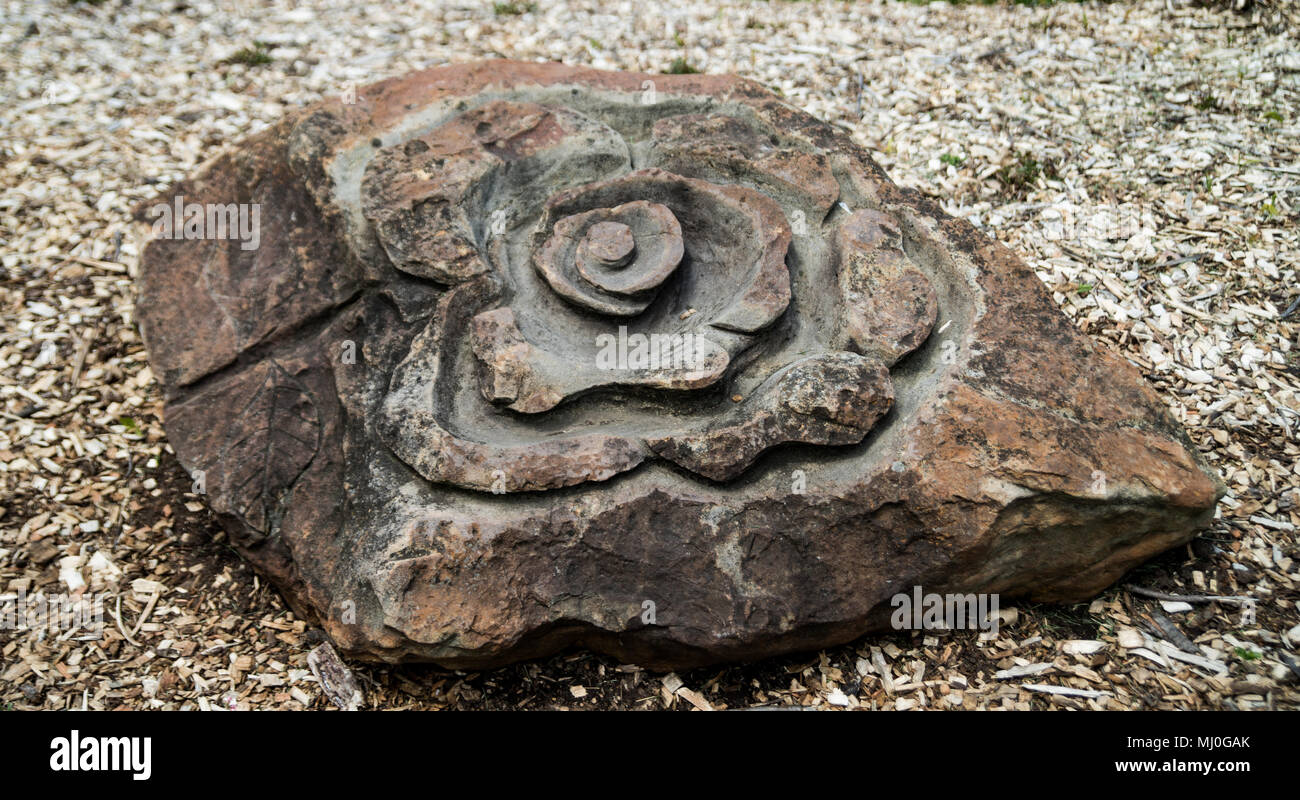 Carving at Park of Roses Stock Photo - Alamy