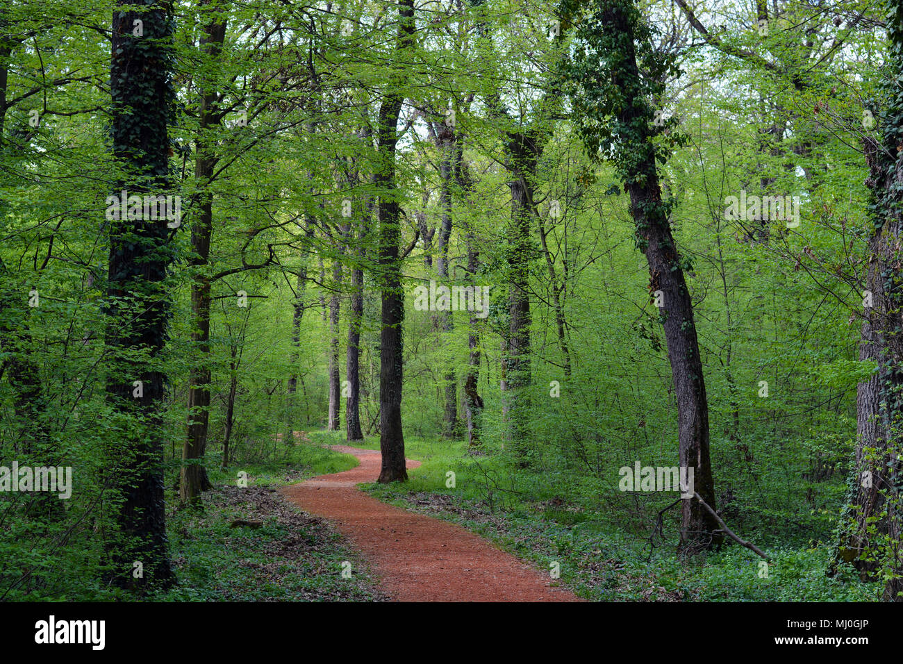 Magic landscapes hi-res stock photography and images - Alamy