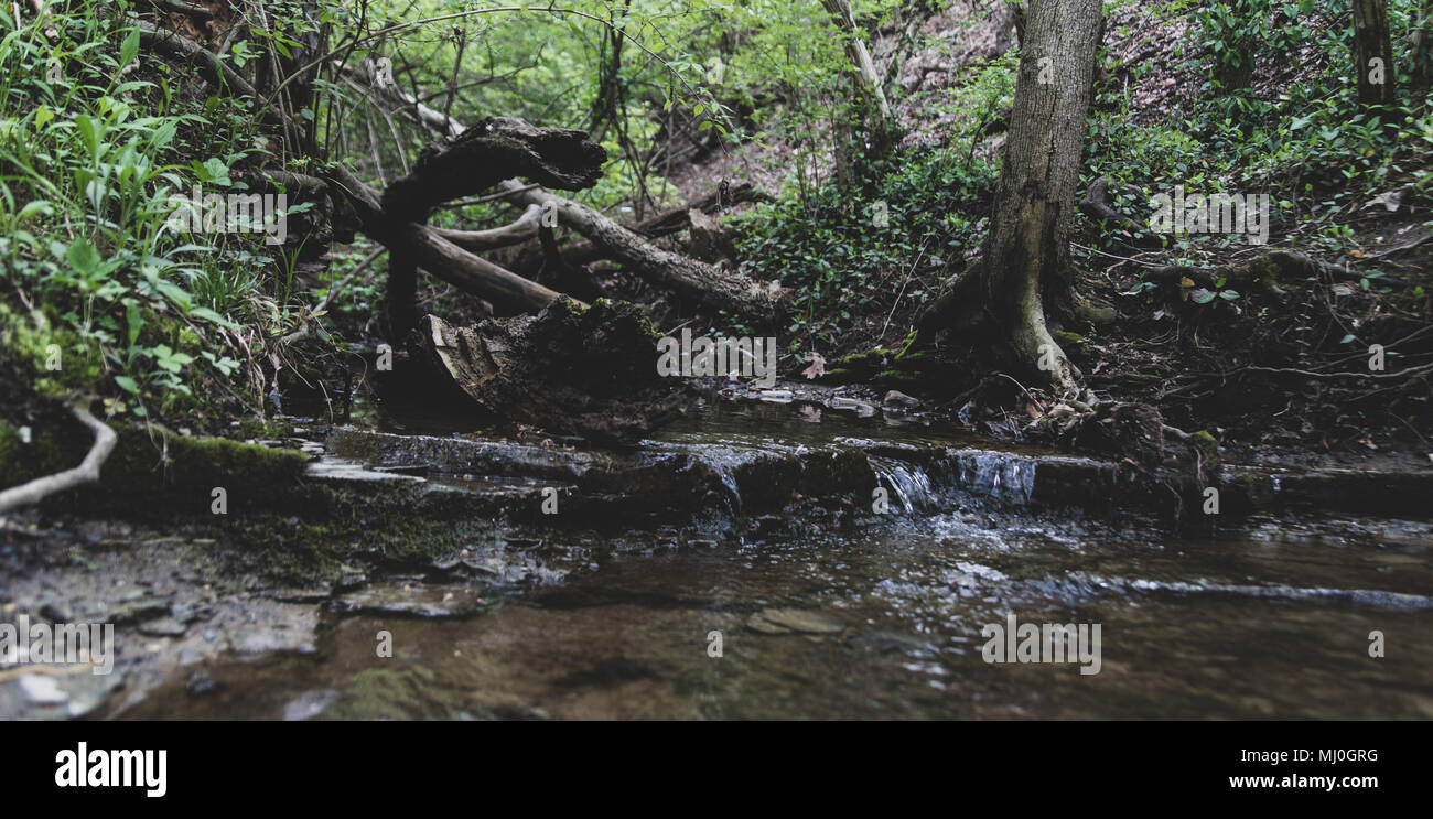 Small Creek Scene Stock Photo - Alamy