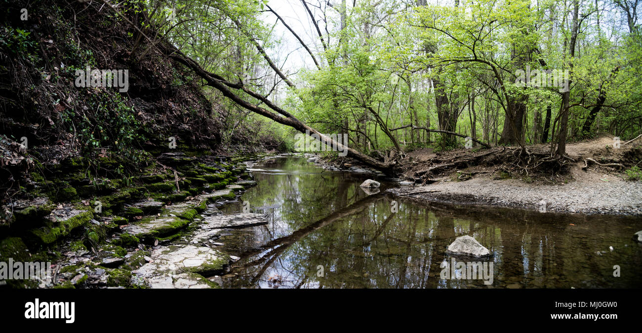 Tree fallen over road hi-res stock photography and images - Alamy