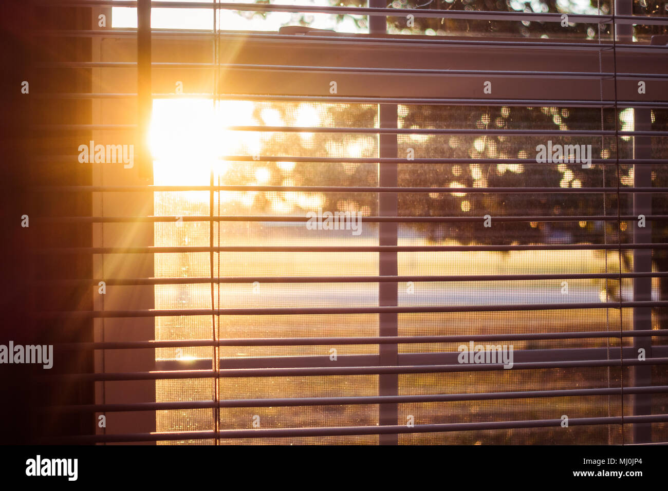 Sunlight Through the Window Stock Photo - Alamy
