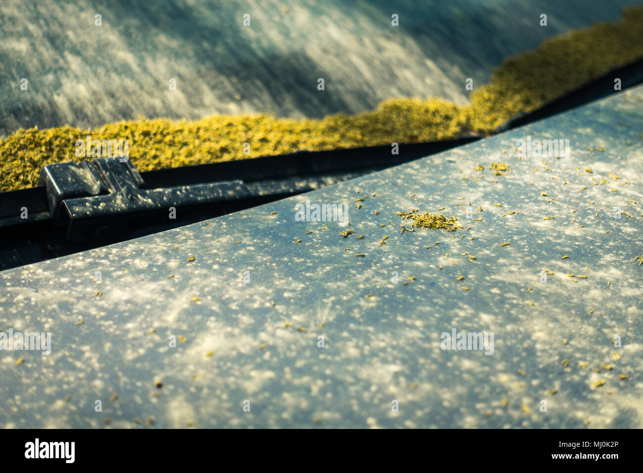 Car covered with dust hi-res stock photography and images - Alamy