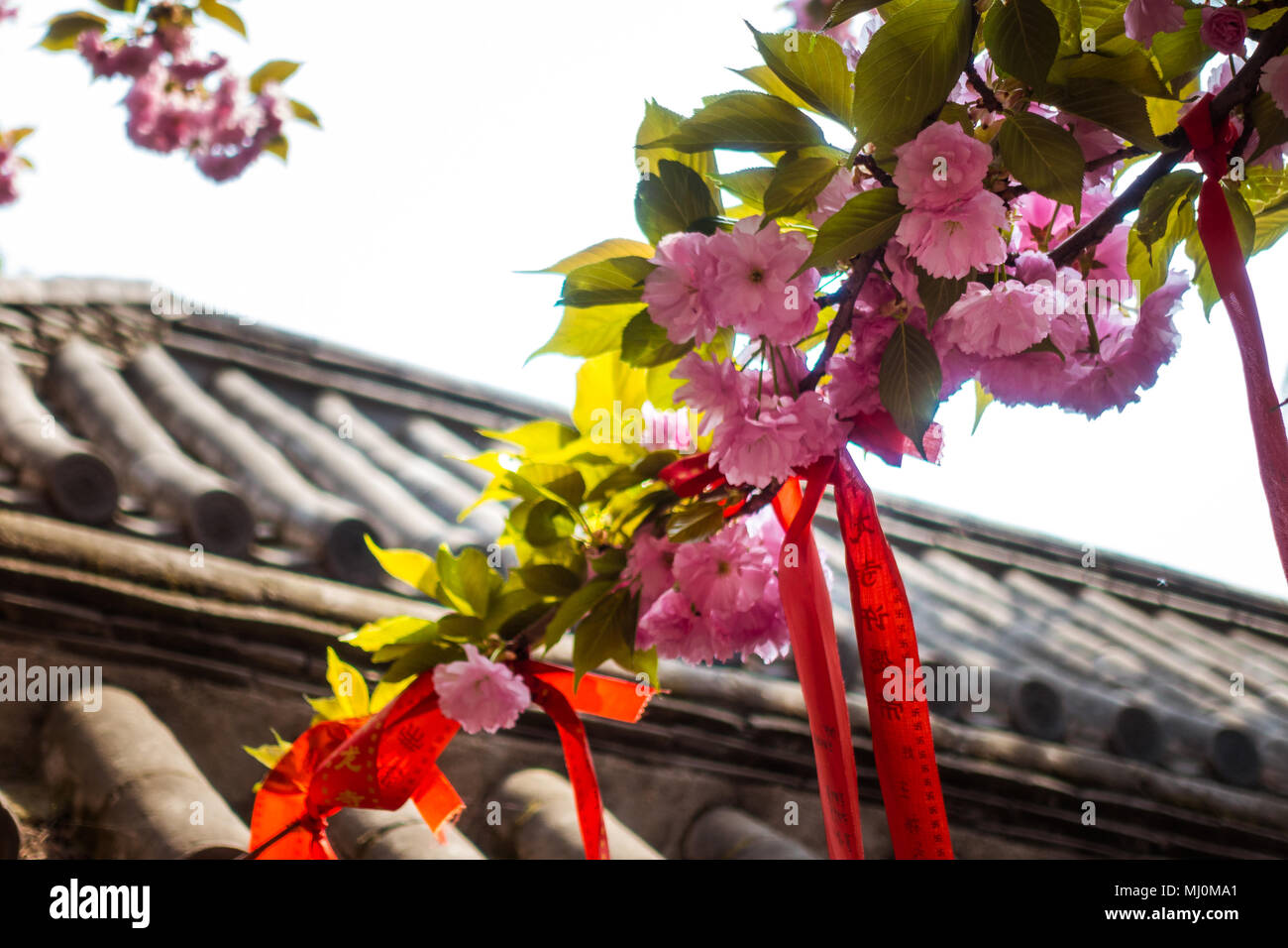 Red ribbon on ropes hi-res stock photography and images - Alamy