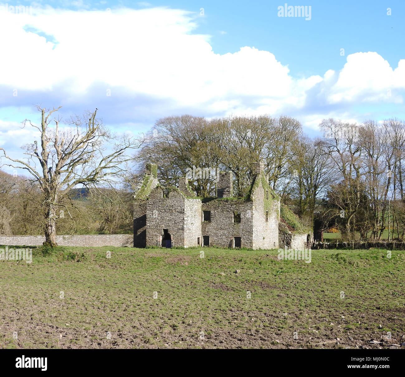 The Ruins of ancient Borgue House, Borgue, Dumfries & Galloway ...