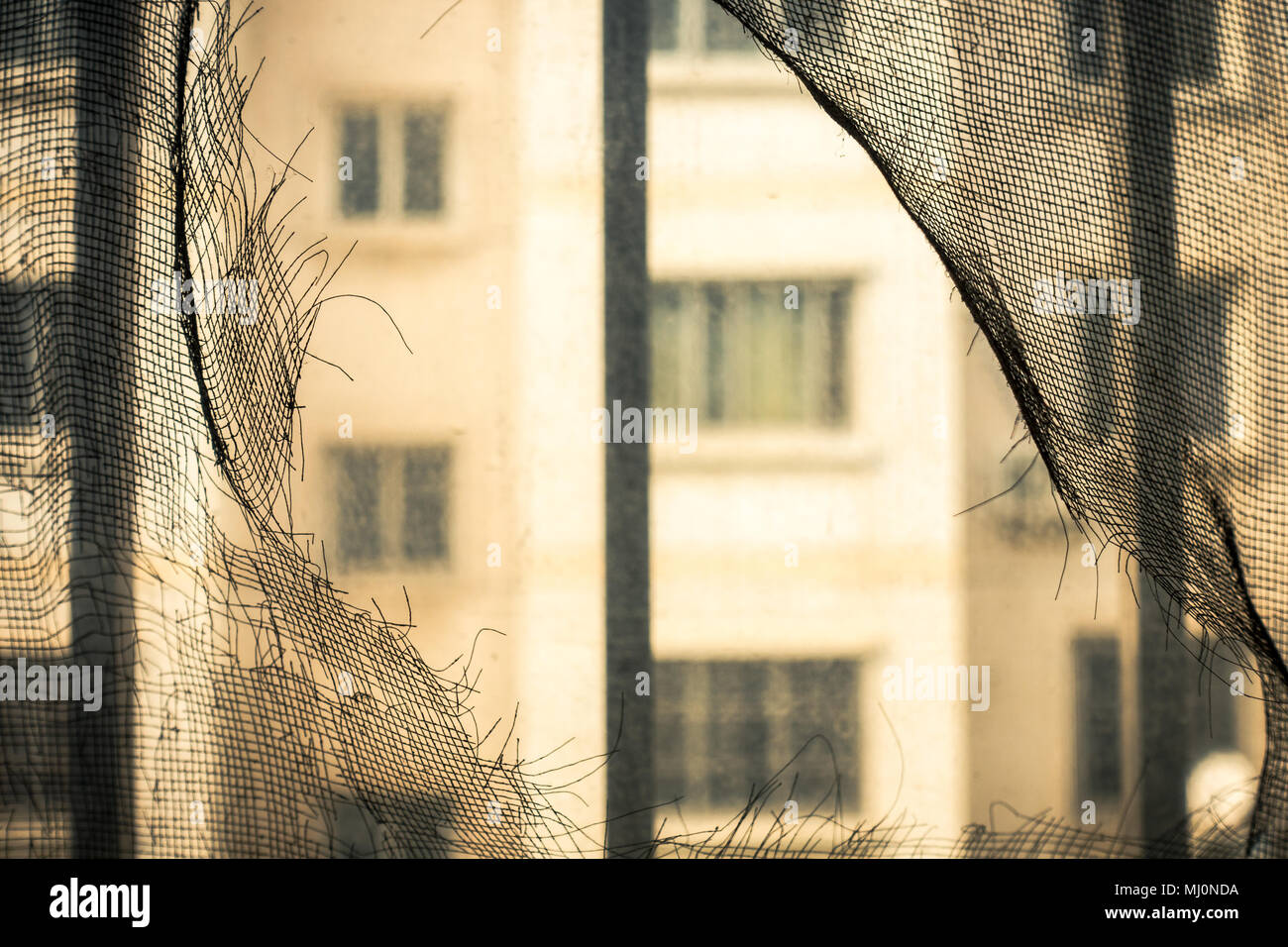 Window screens hi-res stock photography and images - Alamy