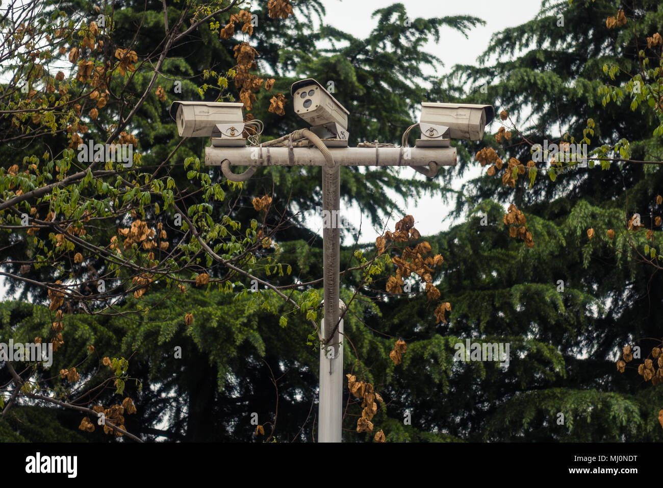 The Monitor Unit on the Street in China Stock Photo - Alamy