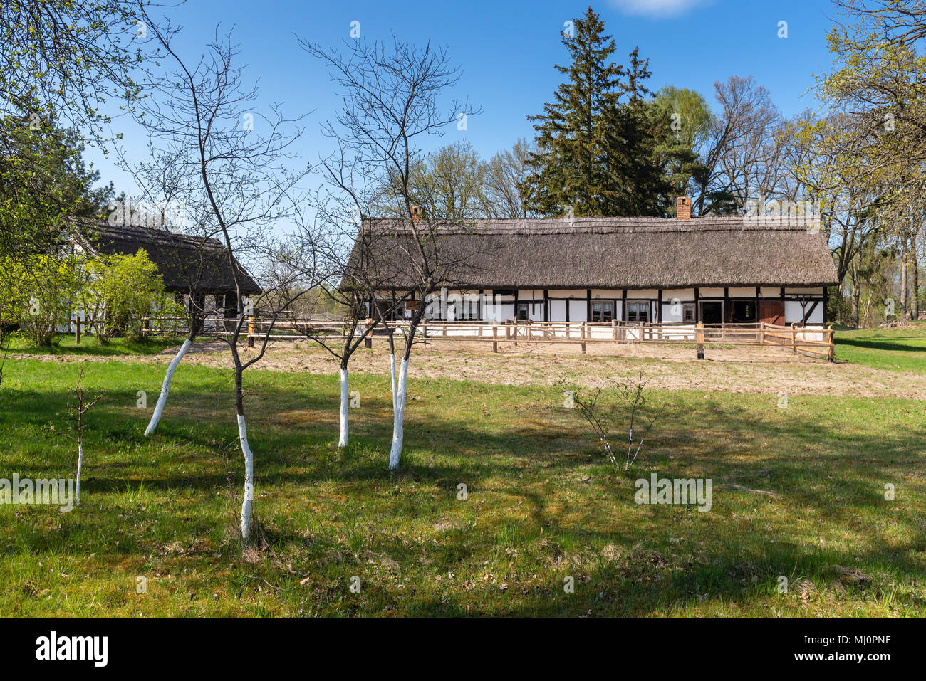 Fruits trees and typical traditional Polish country thatched house ...