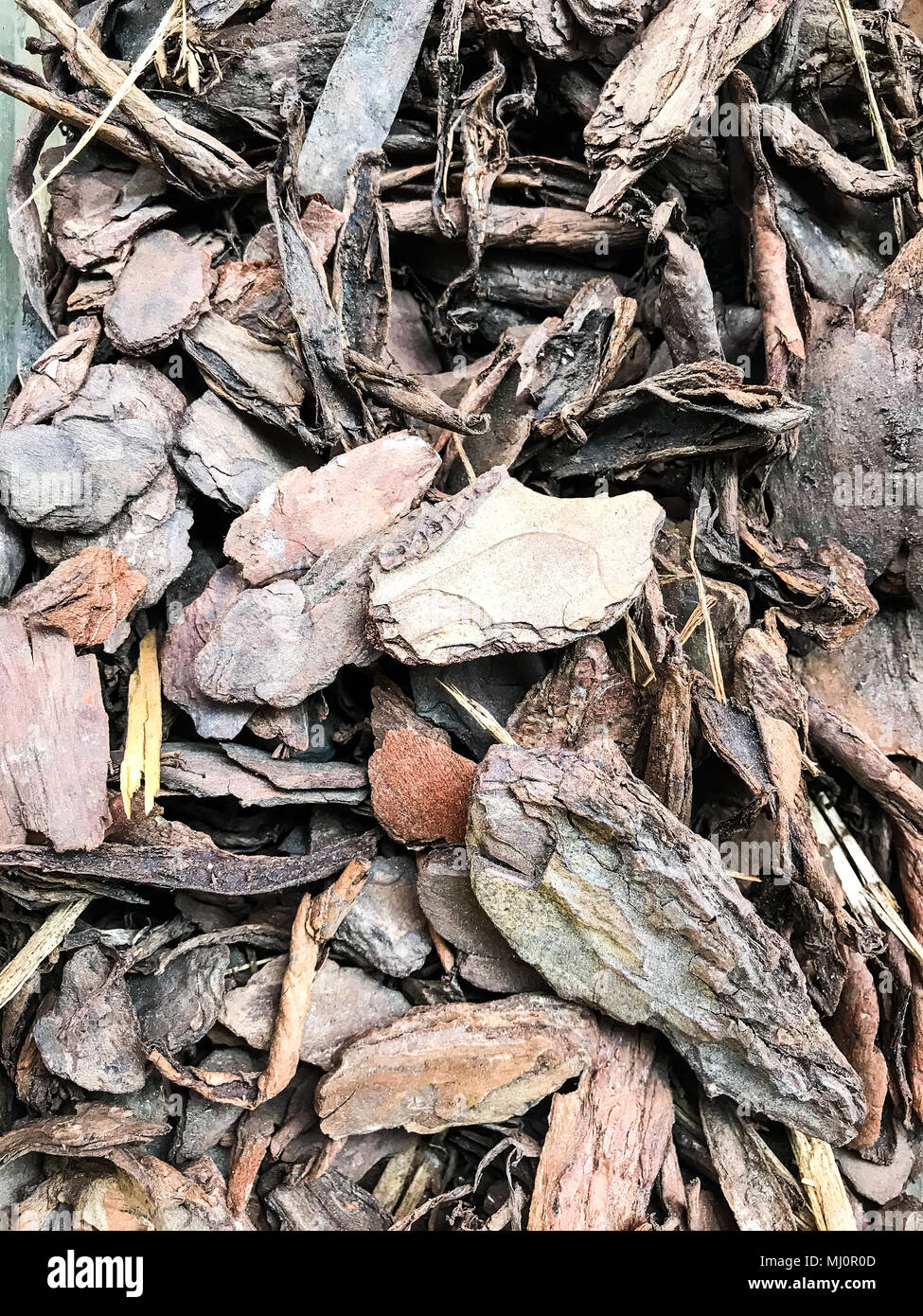 Forest Soil Mulch Stock Photos & Forest Soil Mulch Stock Images - Alamy