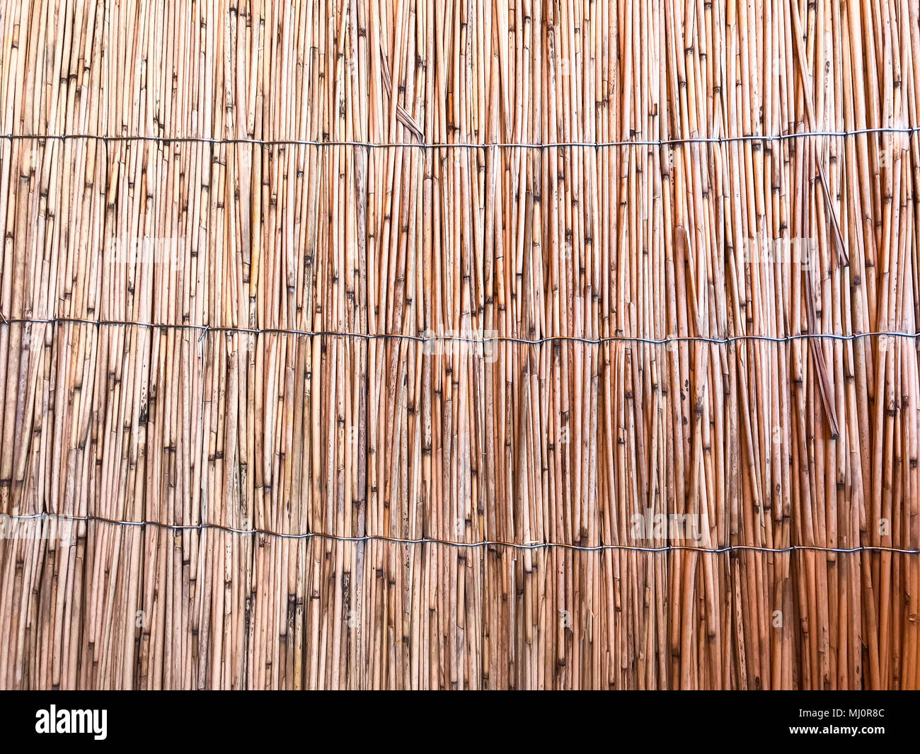 Decorative background of dry bamboo trunks. Studio Photo Stock Photo ...