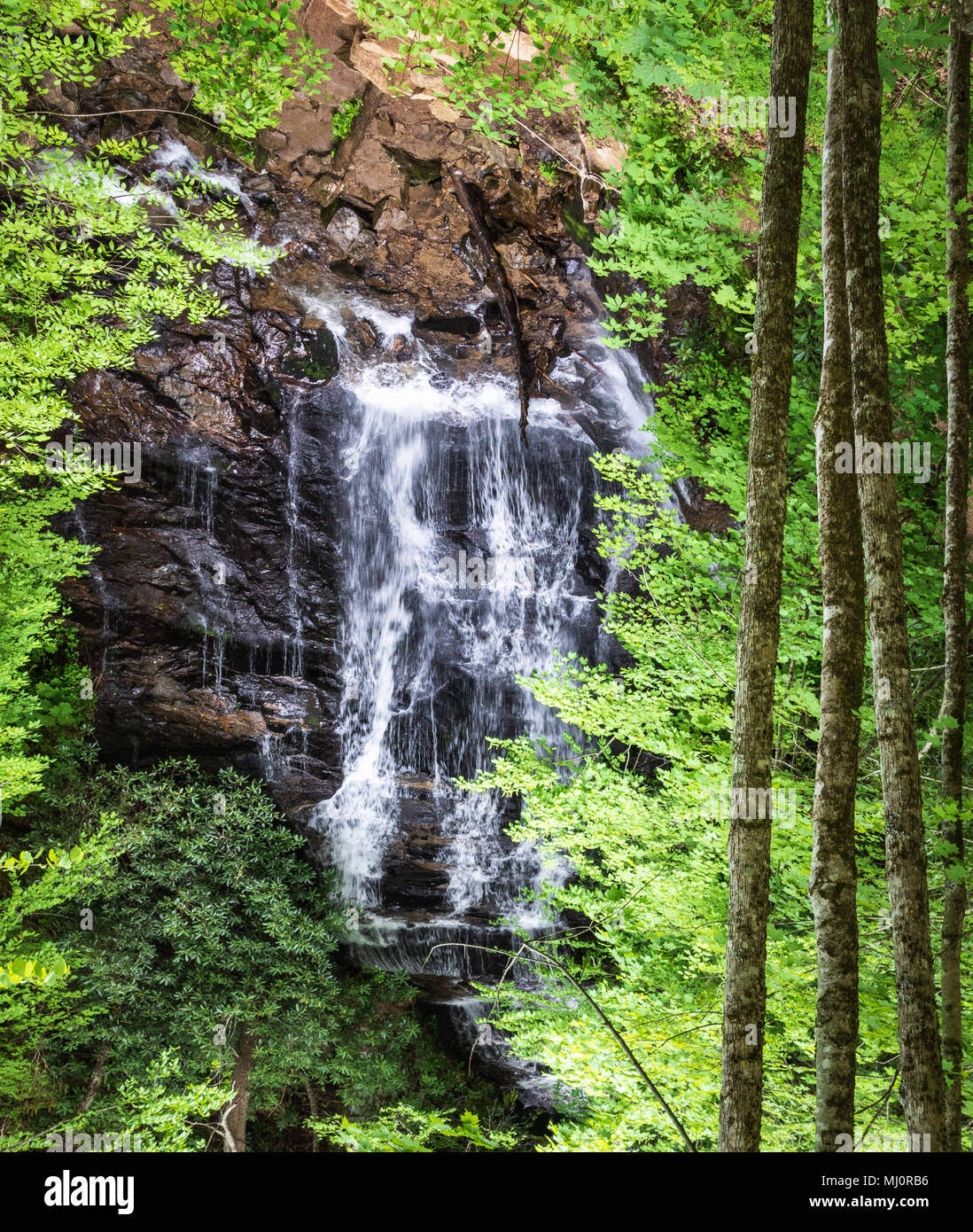 Waterfall surrounded by greenery hi-res stock photography and images ...
