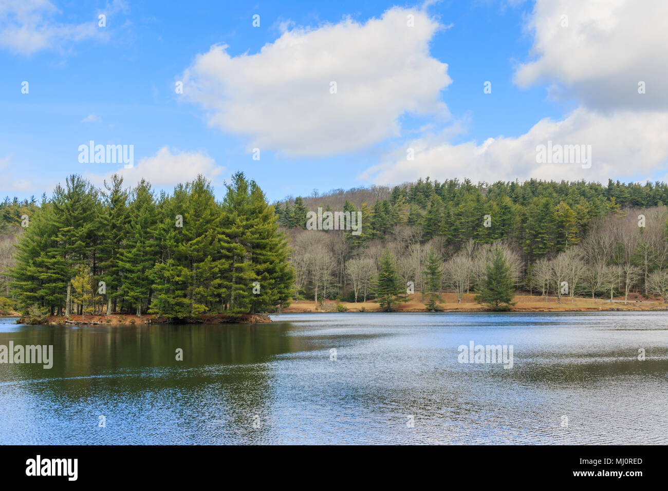 Evergreen ridge hi-res stock photography and images - Alamy