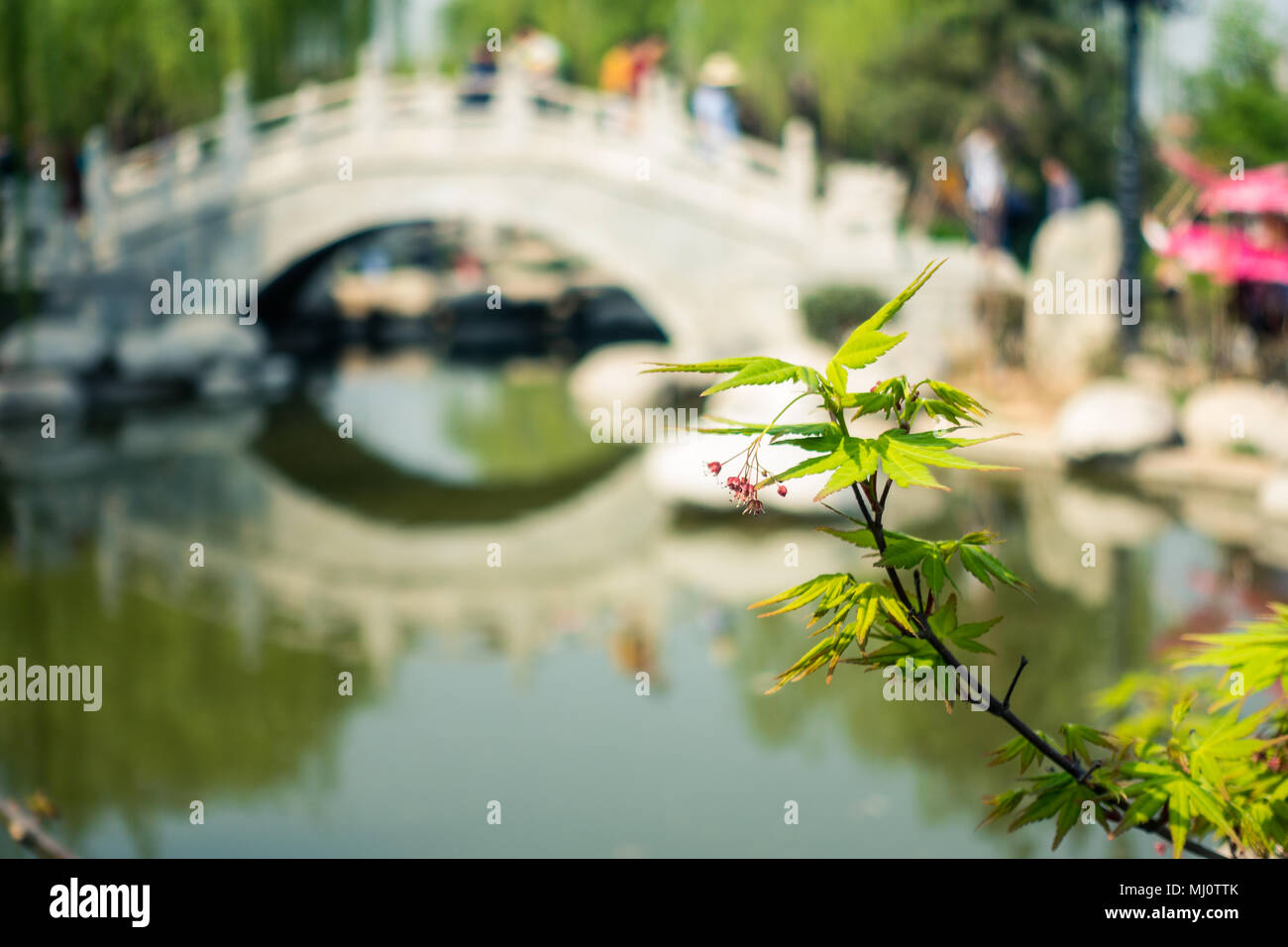 Clean River and Traditional Bridge in Regions South of the Yangtze ...