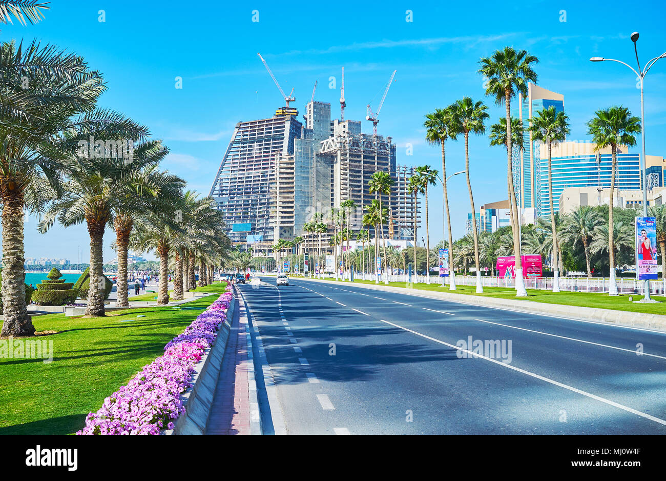 Corniche doha qatar palm tree hi-res stock photography and images - Alamy