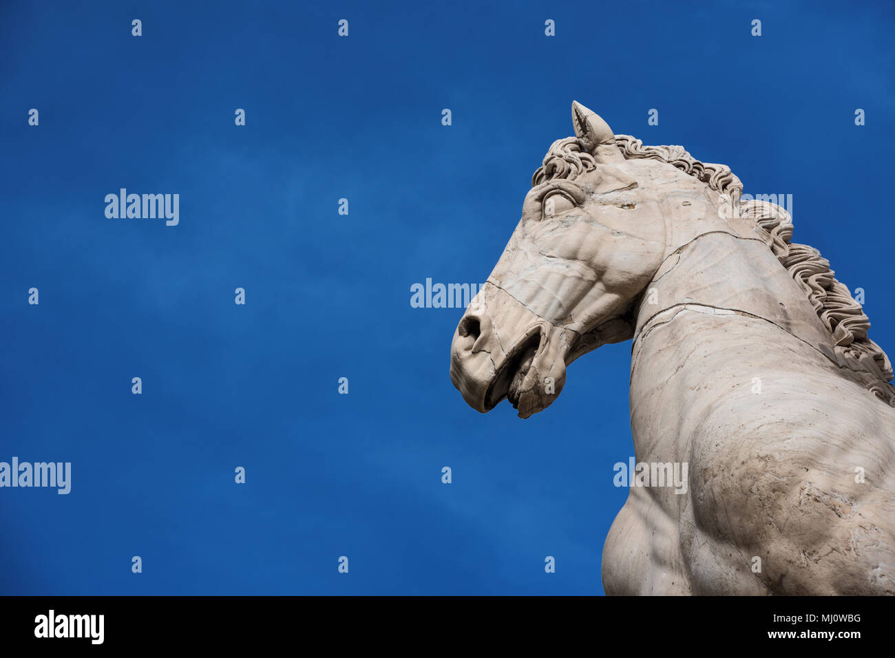 Ancient roman marble statue of an horse at the top of Capitoline Hill ...