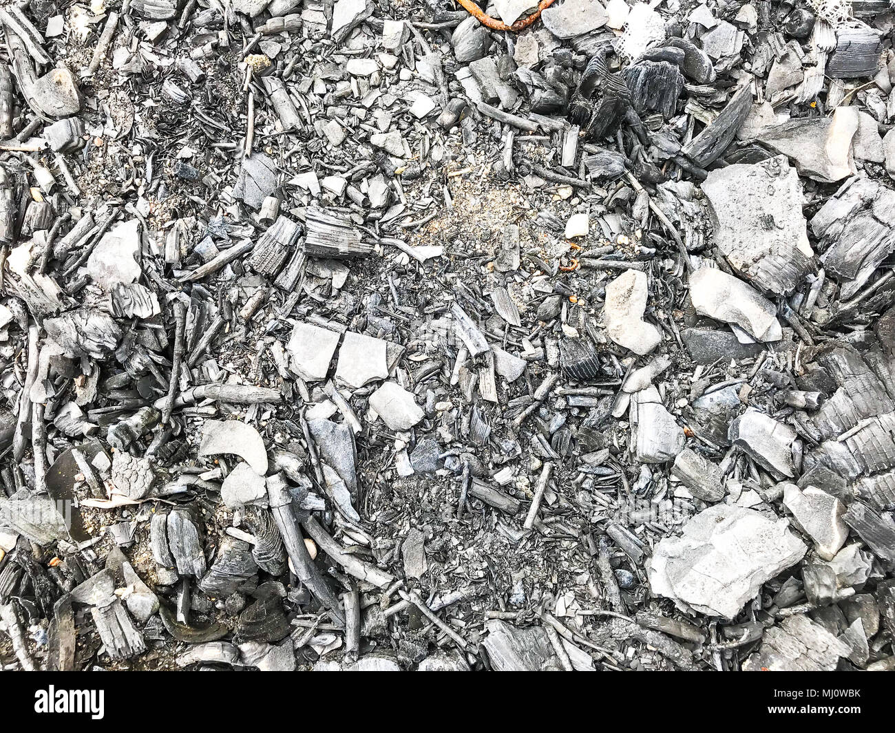 Burned wooden logs, firewood, fireplace, coals. Studio Photo Stock ...