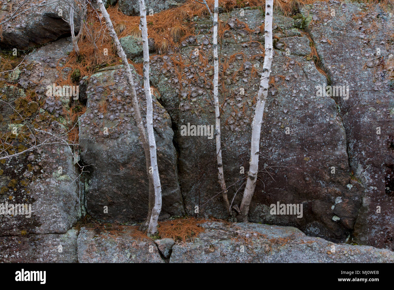 Queen elizabeth provincial park hi-res stock photography and images - Alamy