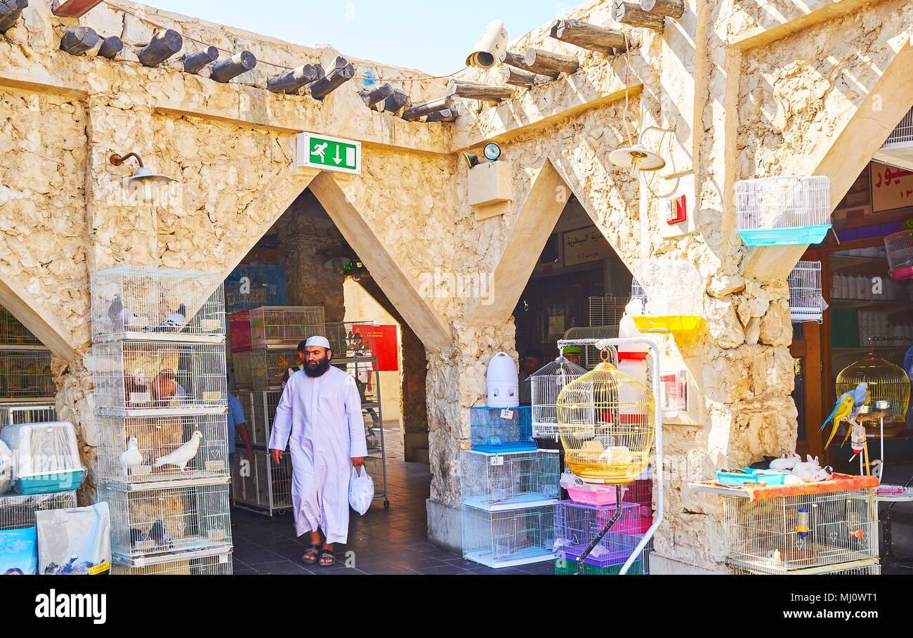 Birds bazaar hi-res stock photography and images - Alamy