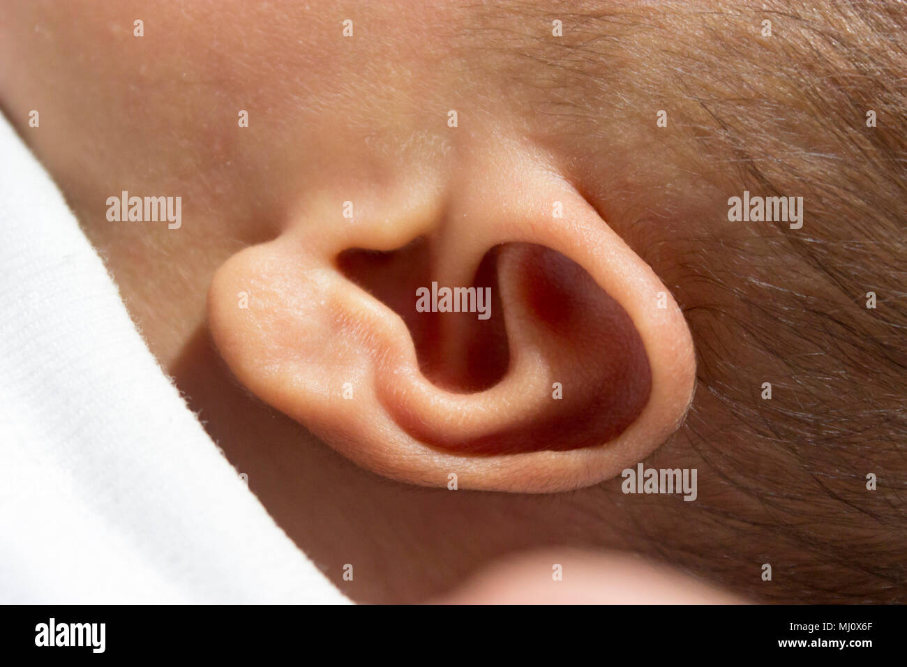 Baby Ear High Resolution Stock Photography and Images - Alamy