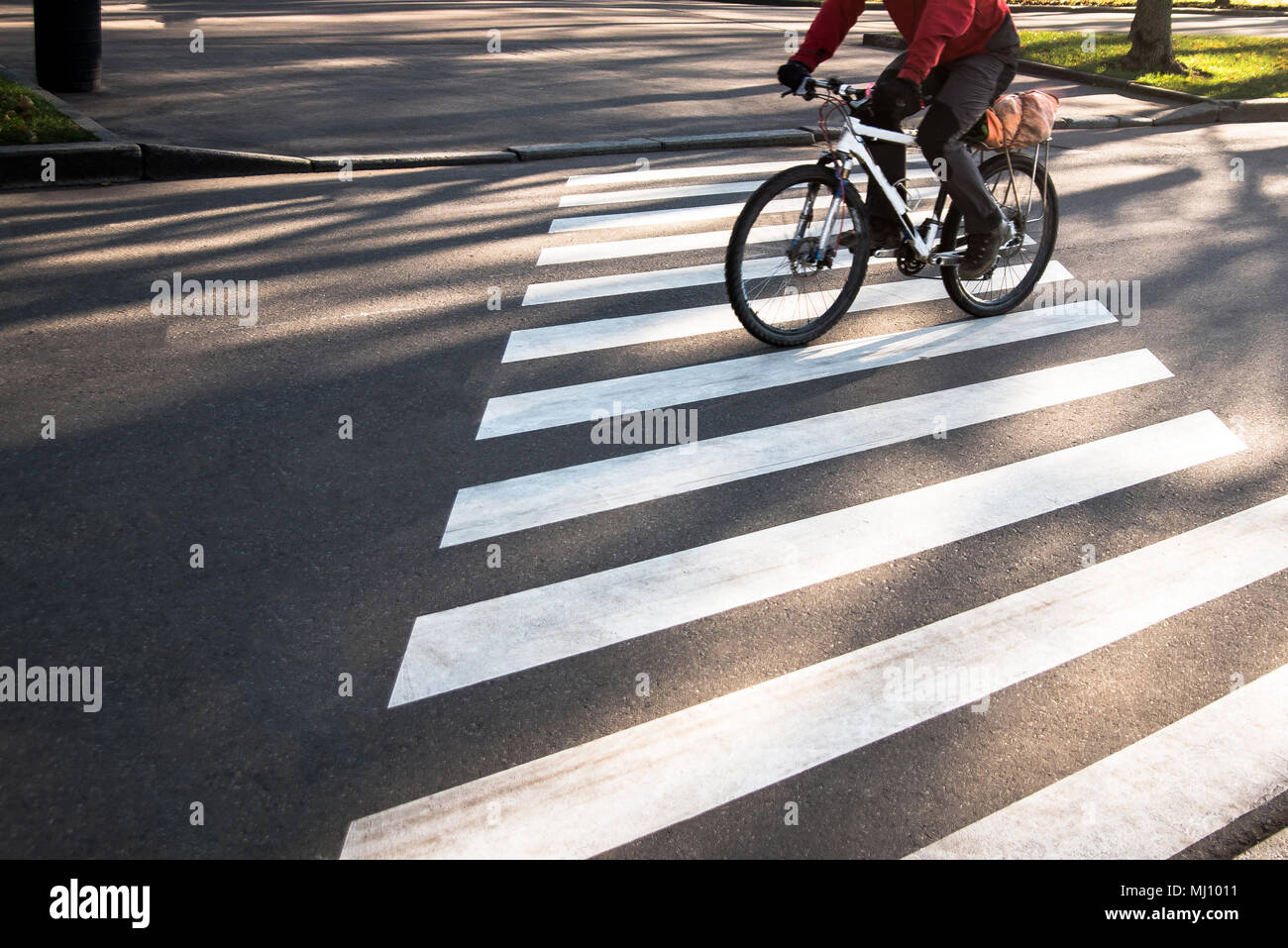 Cyclist move on the pedestrian zebra crossing in the city public park ...