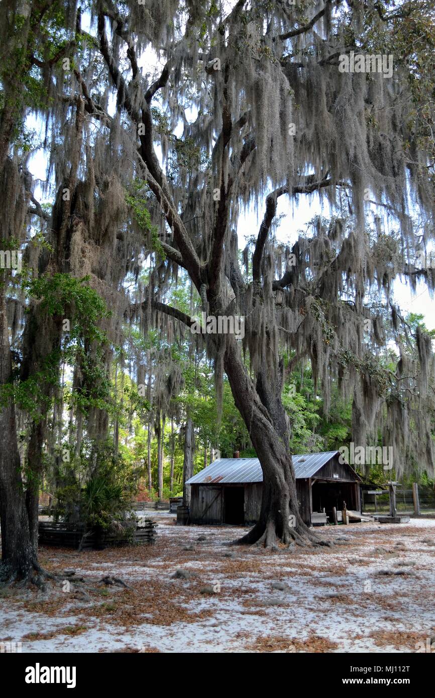 Chesser homestead hi-res stock photography and images - Alamy