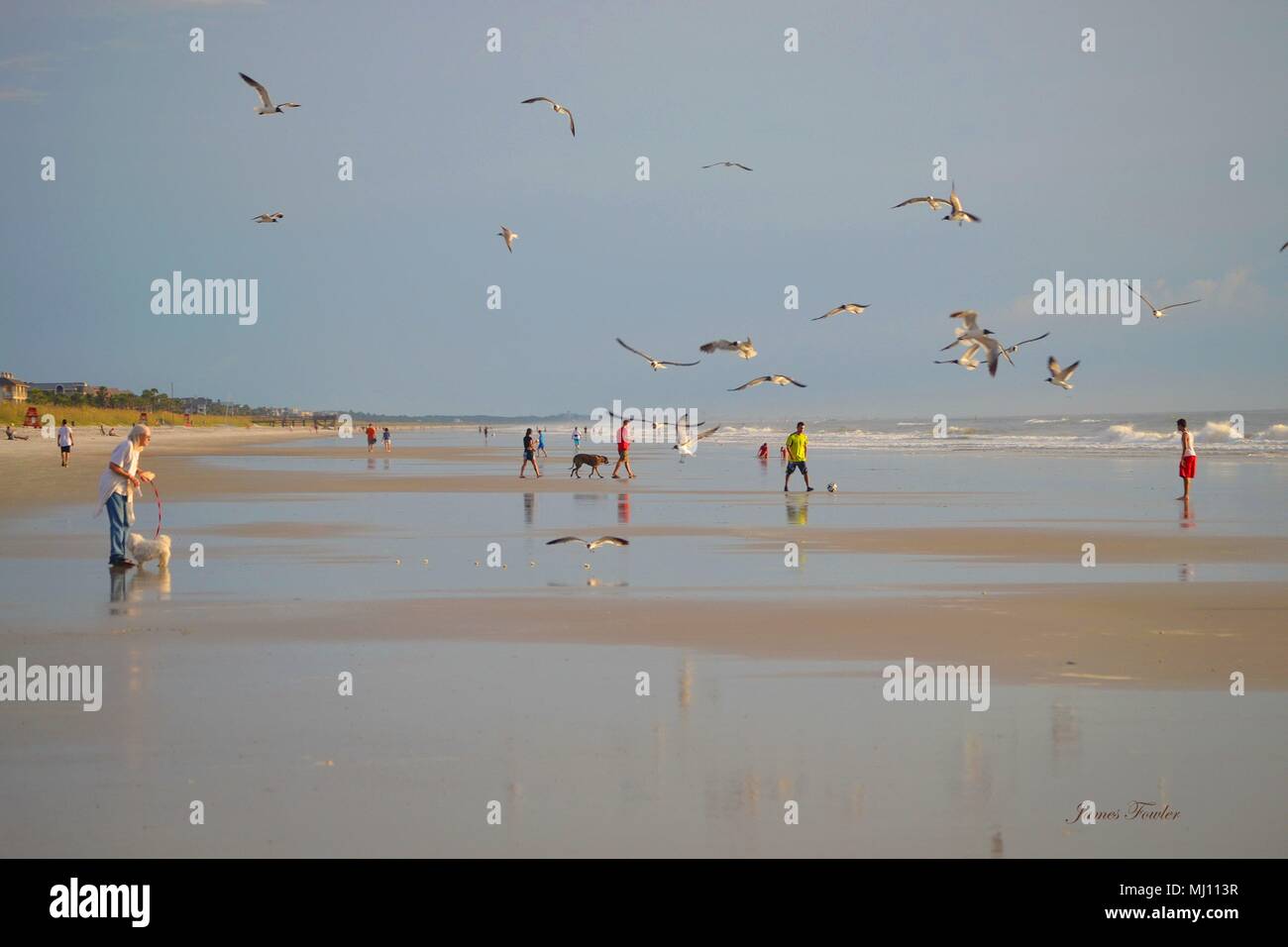 The seagull lady Stock Photo - Alamy