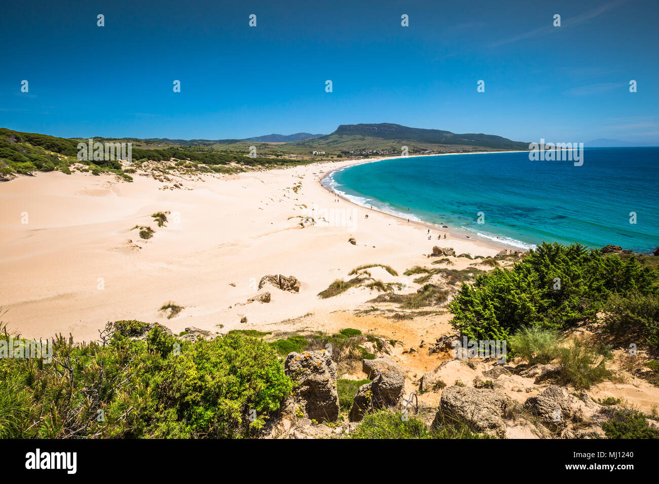 Sand dune of Bolonia beach, province Cadiz, Andalucia, Spain Stock ...