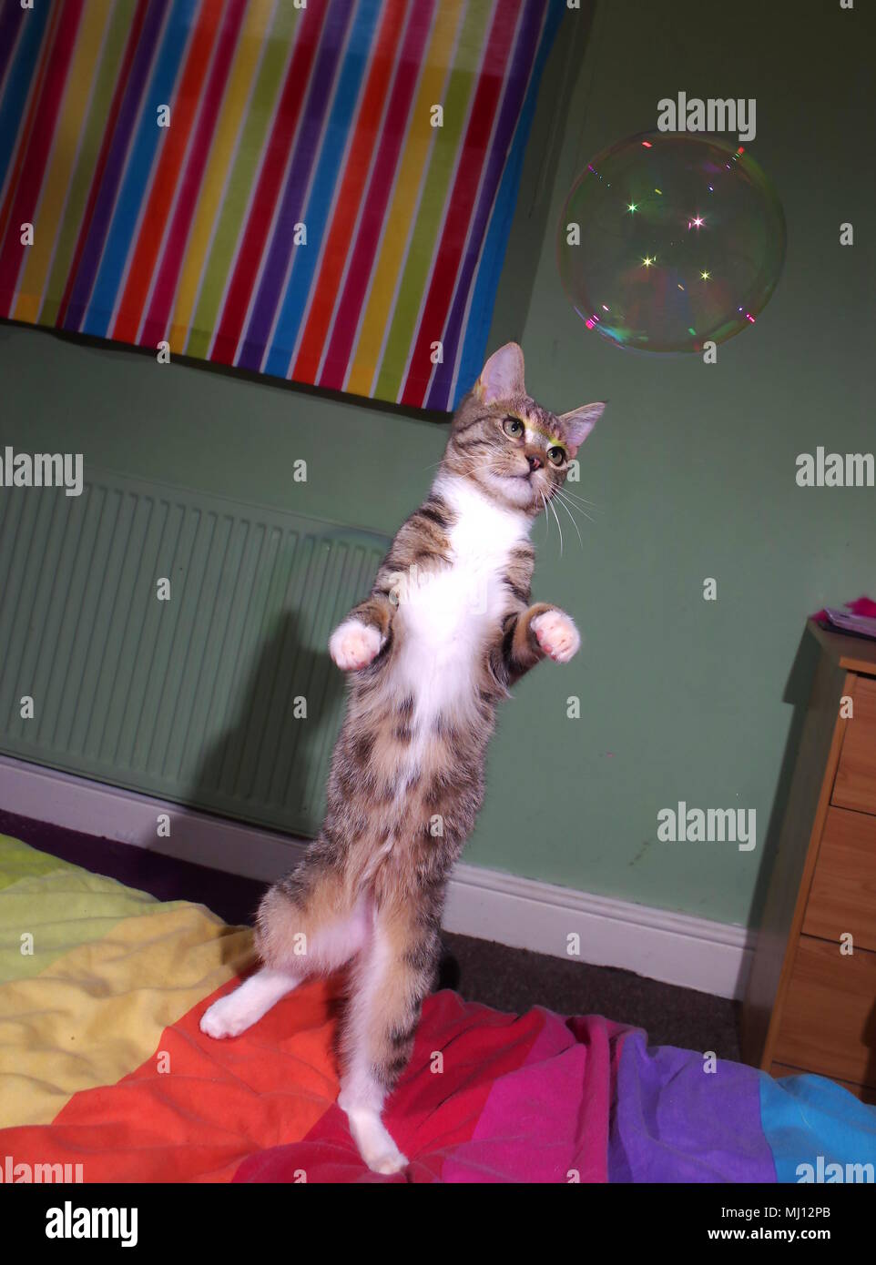 Bubbles waving hi-res stock photography and images - Alamy