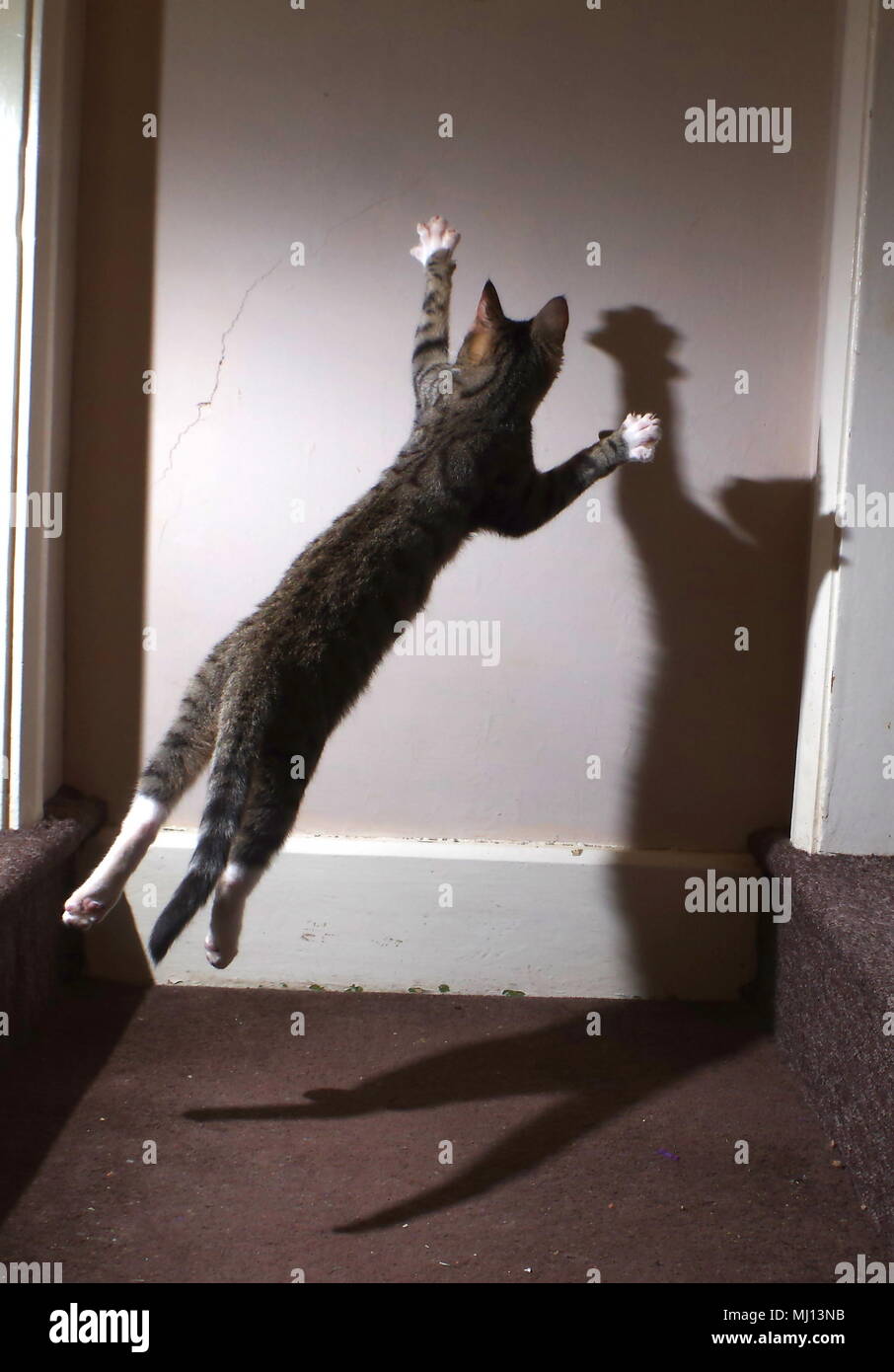 Surreal shadow play hi-res stock photography and images - Alamy