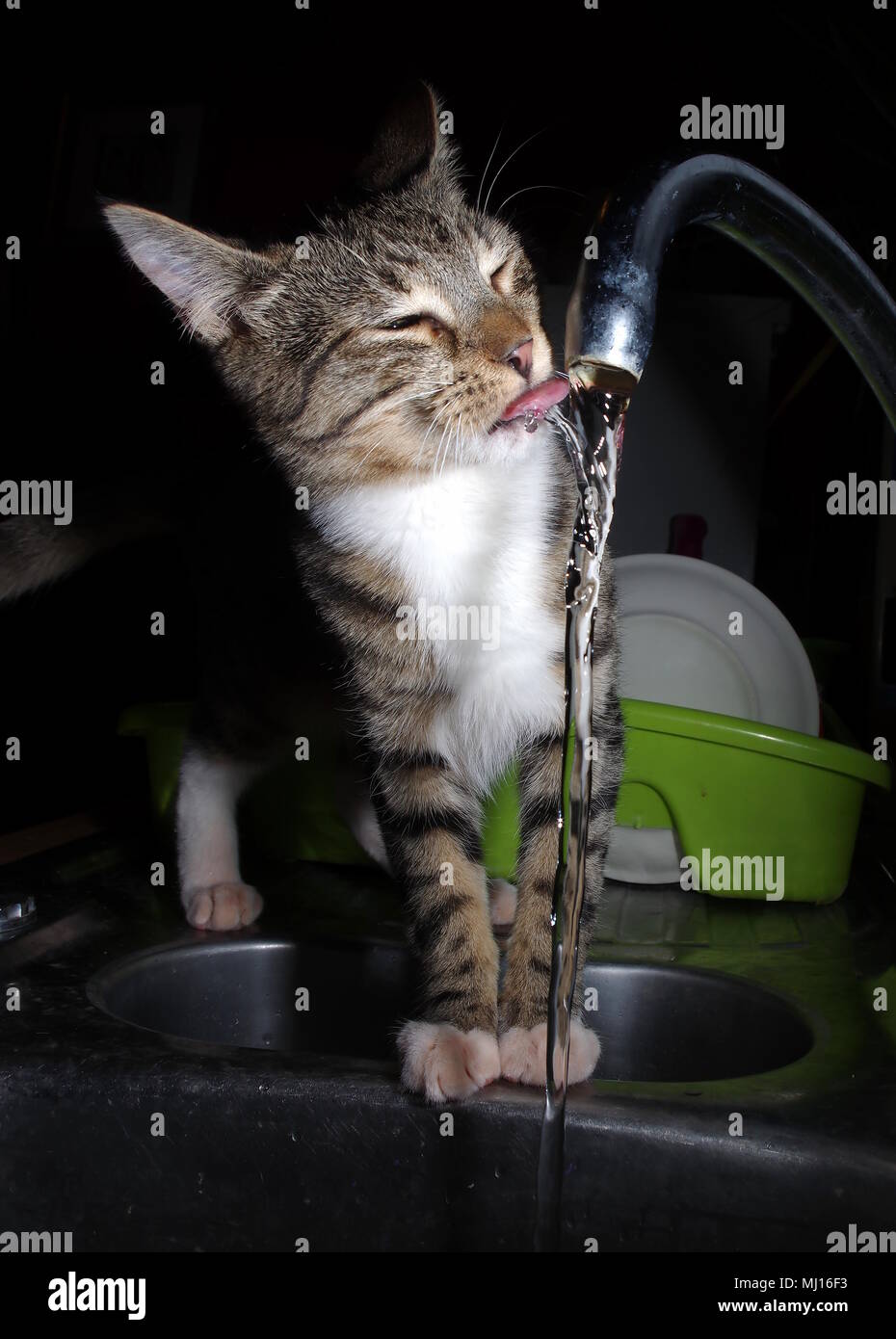 Drinking from the tap hi-res stock photography and images - Alamy